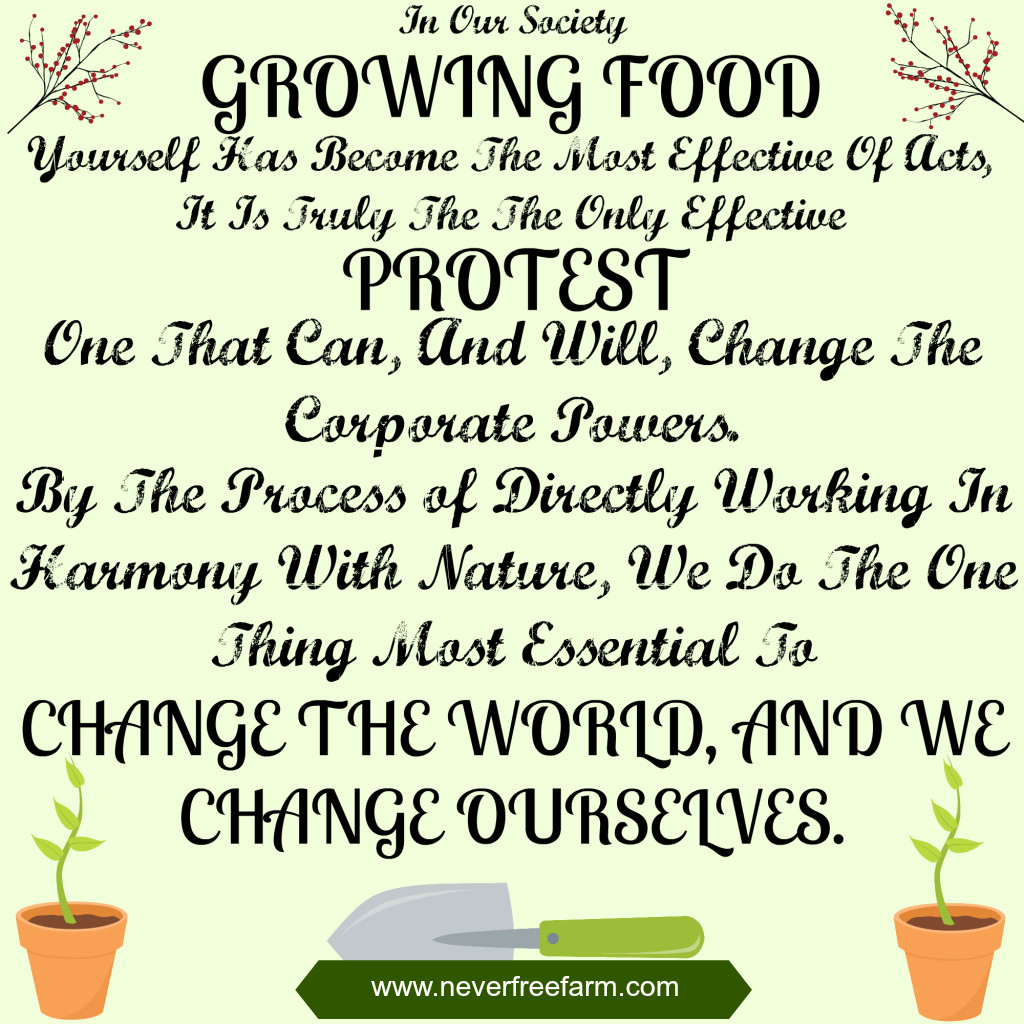 Grow – Never Free Farm